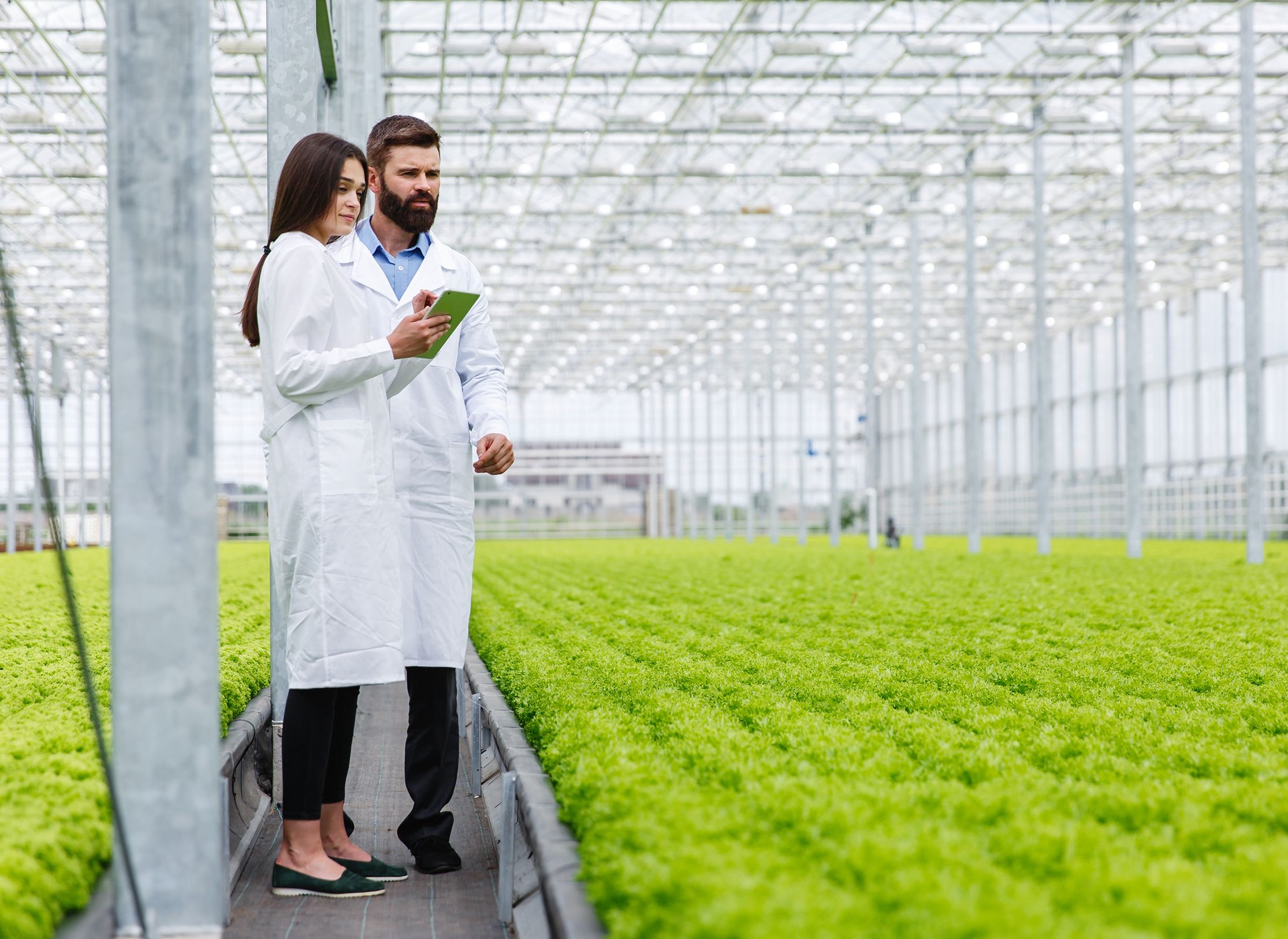 Advanced Diploma in Hi-Tech Agro-Entrepreneurship - Welcome to NIBM